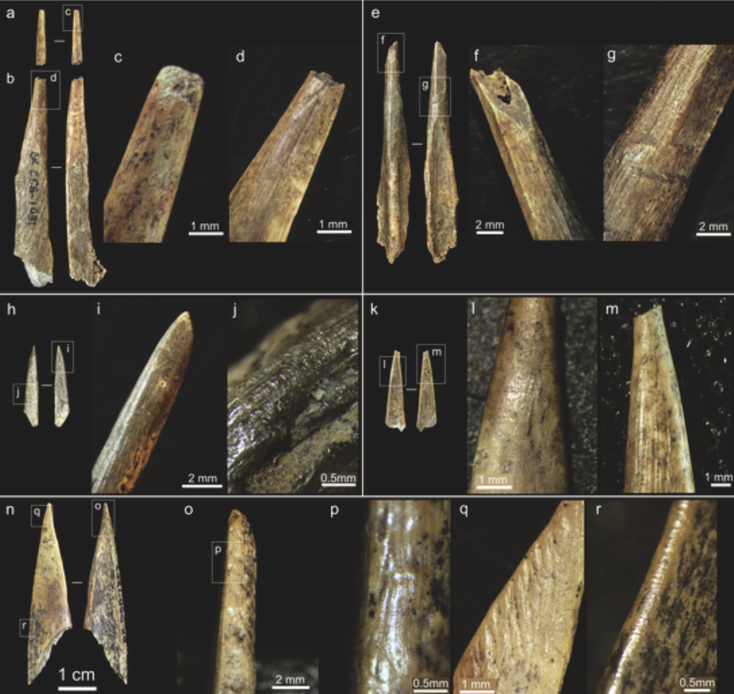 Initial Upper Paleolithic bone technology and personal ornaments at ...